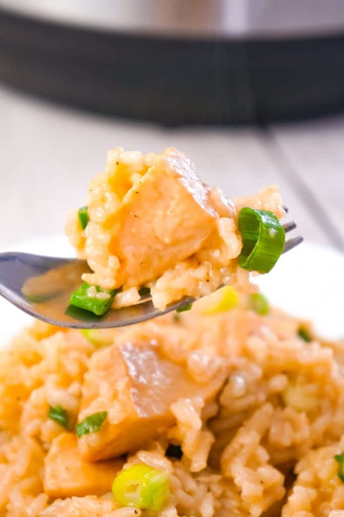 Instant Pot Honey Garlic Chicken and Rice - THIS IS NOT DIET FOOD