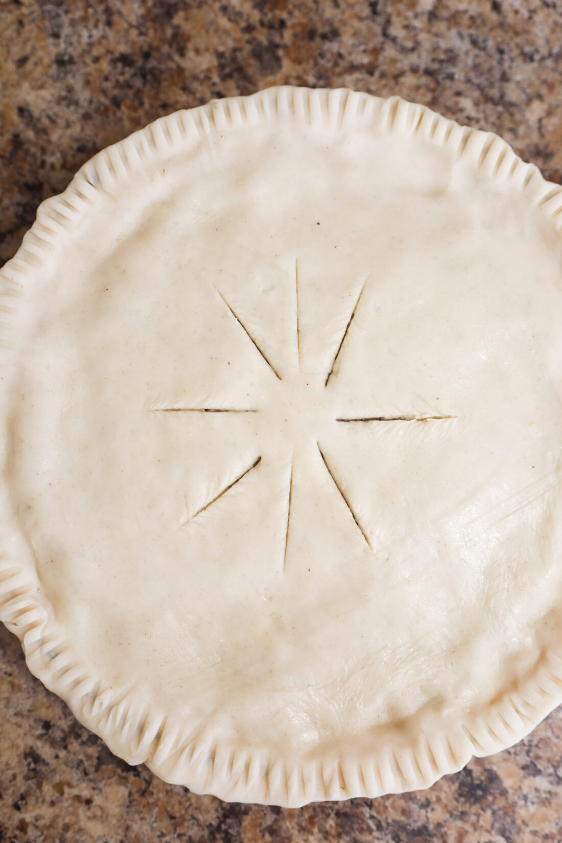 Meat Pie - This is Not Diet Food