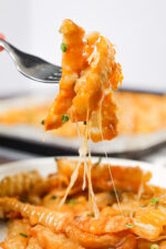 Disco Fries - THIS IS NOT DIET FOOD