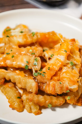 Disco Fries - THIS IS NOT DIET FOOD