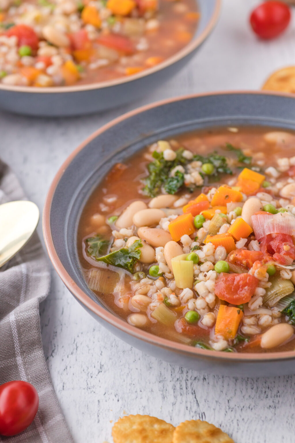 Vegetable Barley Soup - THIS IS NOT DIET FOOD