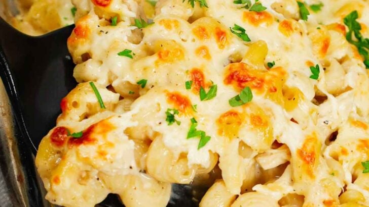 Chicken and Bacon Rotini Alfredo - THIS IS NOT DIET FOOD