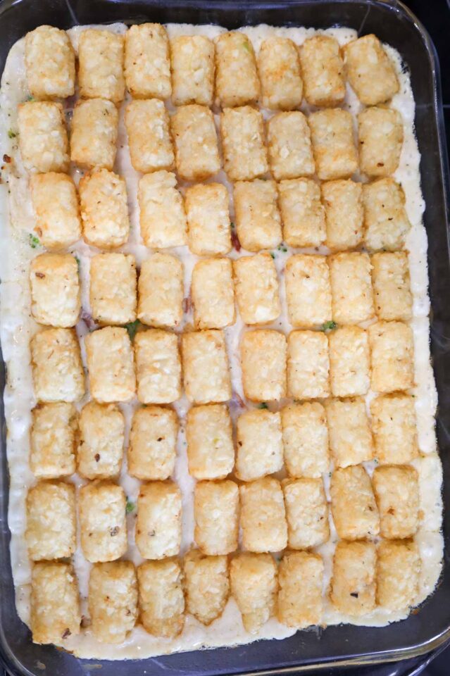 Chicken Alfredo Tater Tot Casserole - THIS IS NOT DIET FOOD