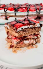 Black Forest Ice Cream Sandwich Cake - THIS IS NOT DIET FOOD